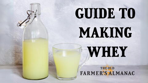 How to Make Whey at Home | Fermented Recipes Using Whey | The Old ...