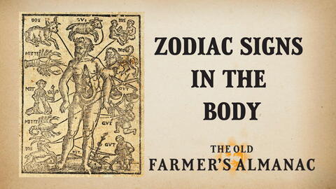 The Man of the Signs: Zodiac Signs and Body Parts Chart | The Old ...