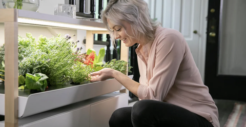 How to Grow Vegetables Indoors: The Best Veggies for Year-Round Harvest ...