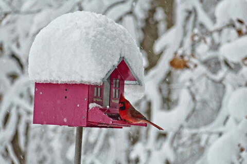 January Weather Folklore | Almanac.com