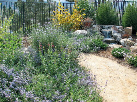 Natural Landscaping Native gardening | The Old Farmer's Almanac