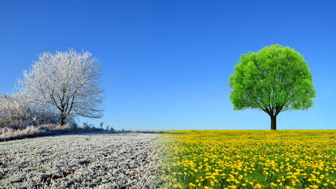 7 Changes as Earth Marches Slowly Towards Spring | Almanac.com