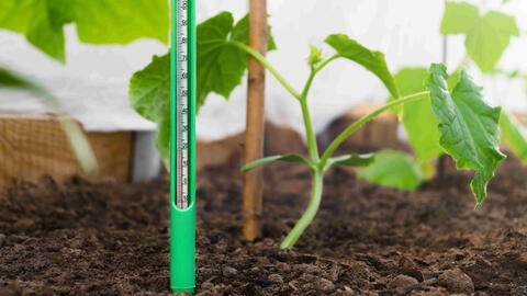 Soil Temperature Chart for Planting Vegetables | Seed Germination Guide ...