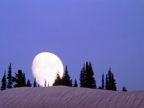 A Full Moon on the Winter Solstice: How Rare Is It? | The Old Farmer's ...