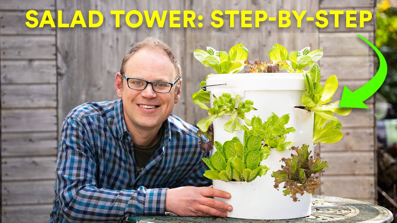 How to Make a Lettuce Tower Garden | Almanac.com