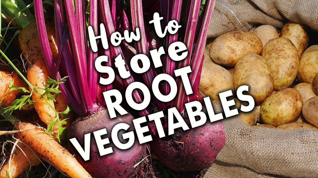 How to Cure and Store Root Vegetables | Almanac.com